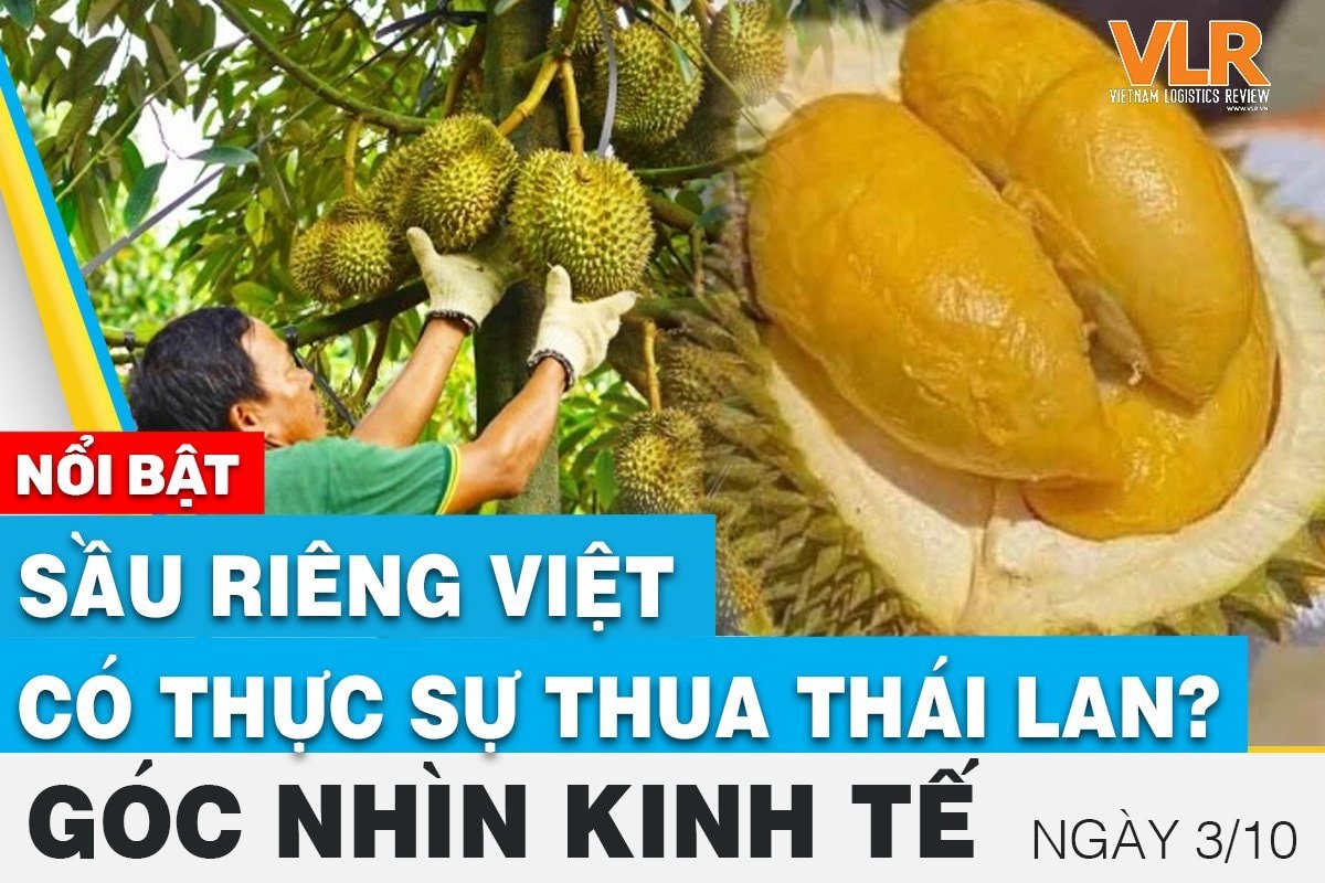Tin tức, hình ảnh, video clip mới nhất về Ngân hàng thế giới hạ dự báo ...