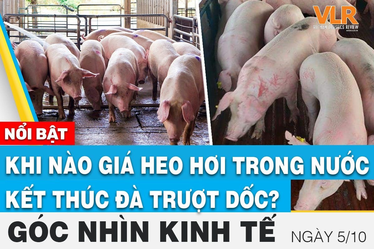 Tin tức, hình ảnh, video clip mới nhất về TP.HCM: Văn phòng cho thuê có ...