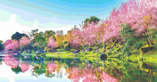 A spring of hope and belief
