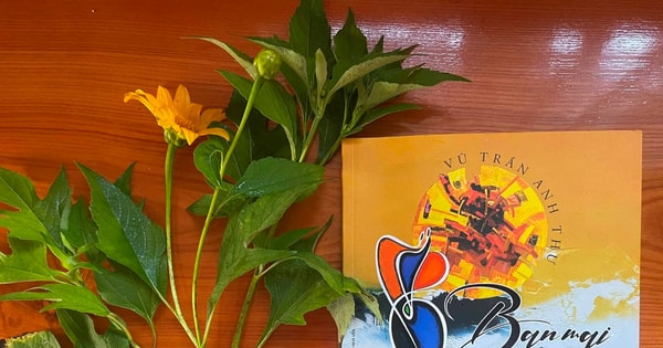 “Ban mai thơm mắt nắng” vàng lên lấp lánh