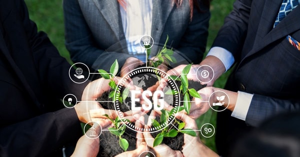 Global Supply Chain Restructuring: Balancing Risk and Efficiency