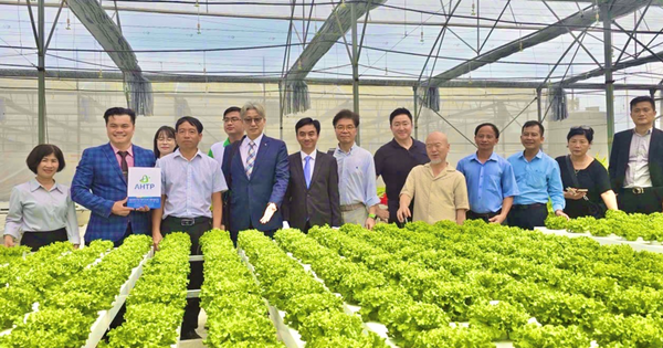 WVCEA – Việt Nam: Kết nối xanh – số, mở rộng không gian hợp tác chiến lược